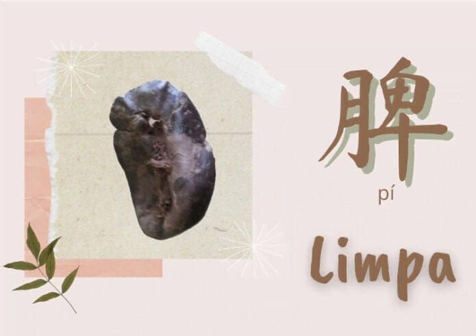 Lima Organ Zang (五脏) Dalam Pengobatan Tradisional Tiongkok » Kesehatan ...