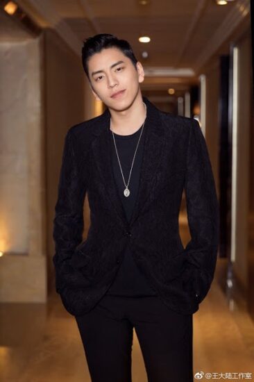 Biodata Dan Profil Aktor Darren Wang / Wang Da Lu / 王大陸 » Selebriti ...
